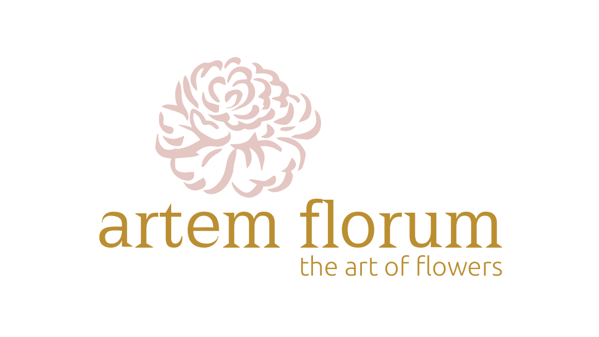 Contact Artem Florum